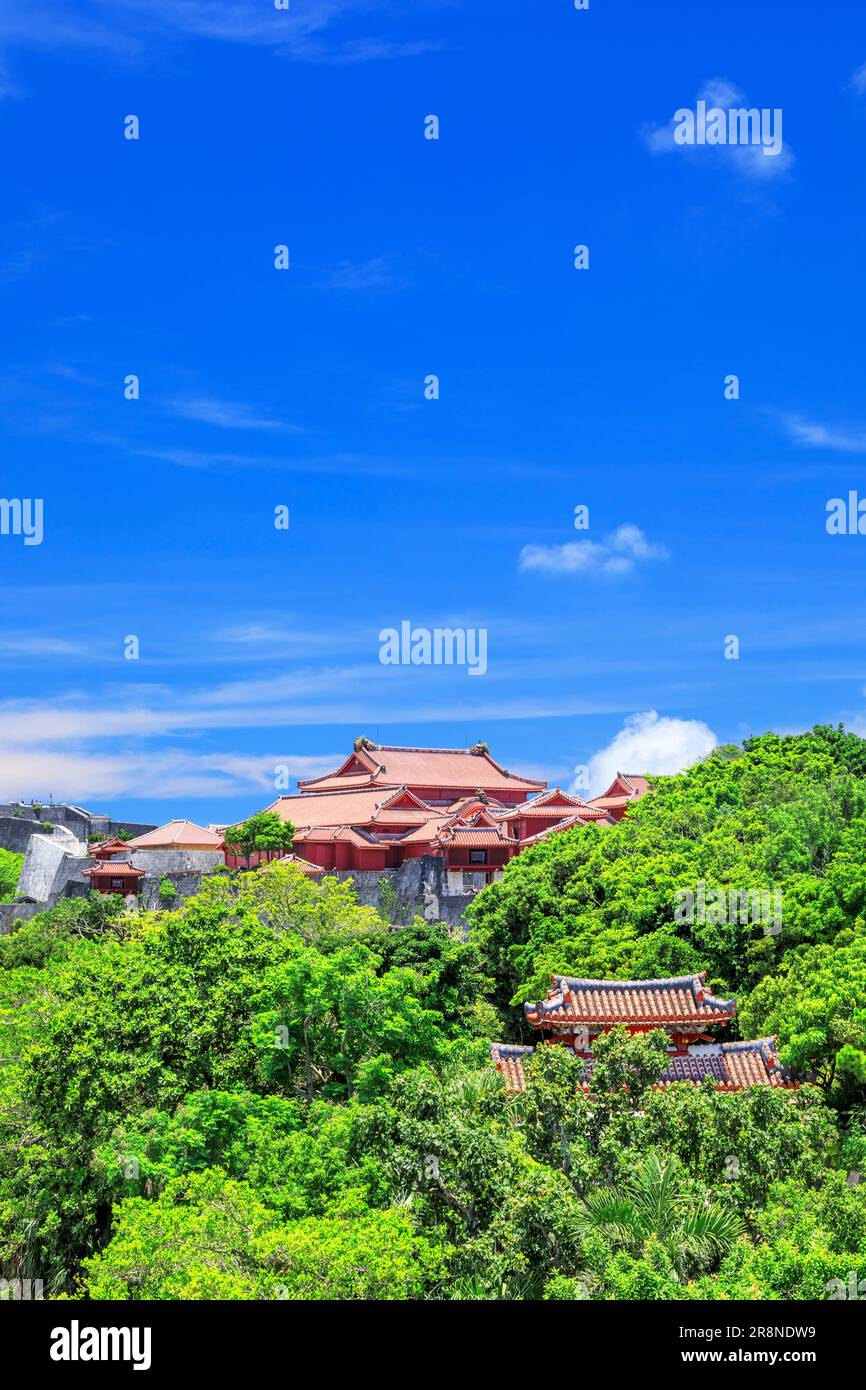 Shuri castle world hi-res stock photography and images - Alamy