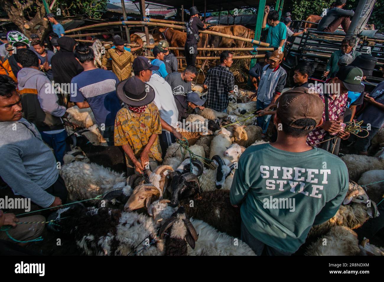 The Jonggol Animal Market in Bogor Regency, the largest livestock ...