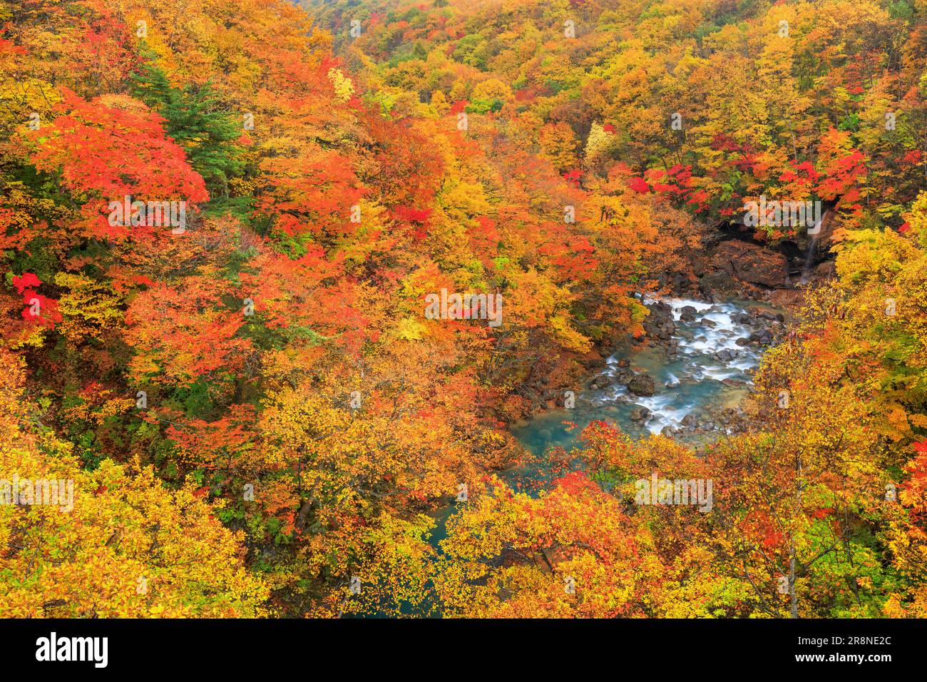 Autumn leaves in Matsukawa Valley Stock Photo - Alamy