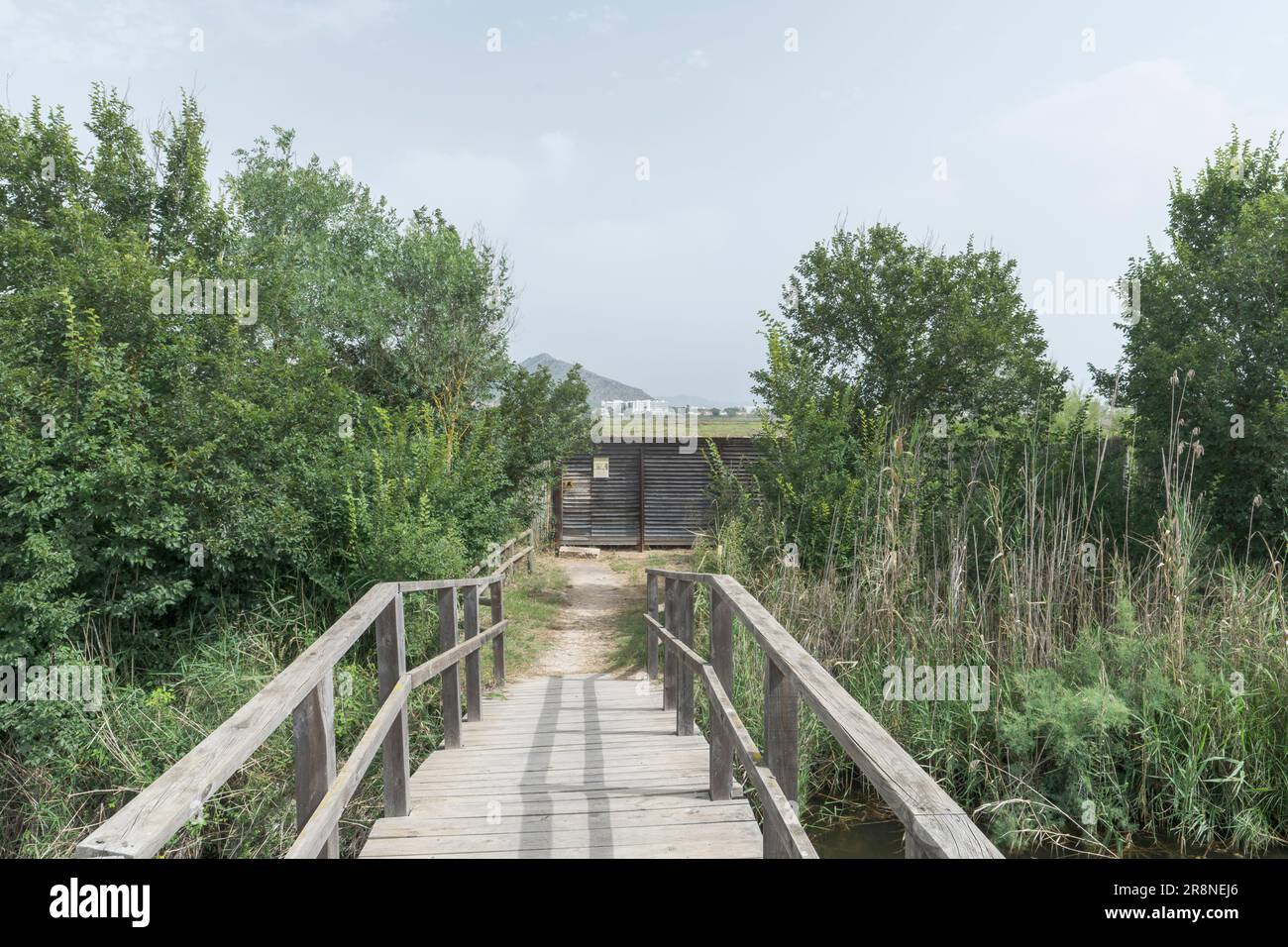 view of bridge on S’Albufera reserve, Mallorca, Balearic Islands, Spain ...
