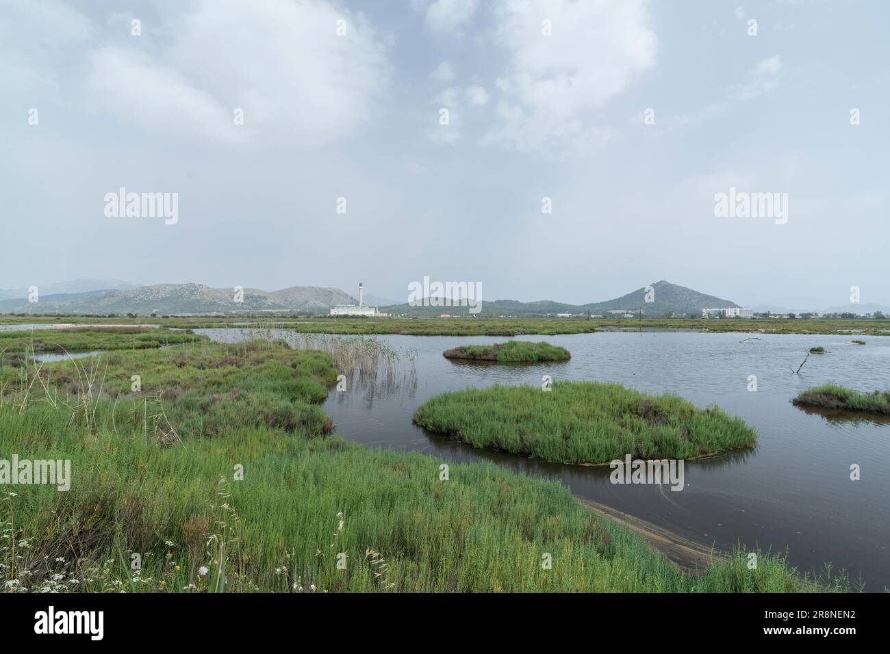 view of wetland habitat, S’Albufera reserve, Mallorca, Balearic Islands ...