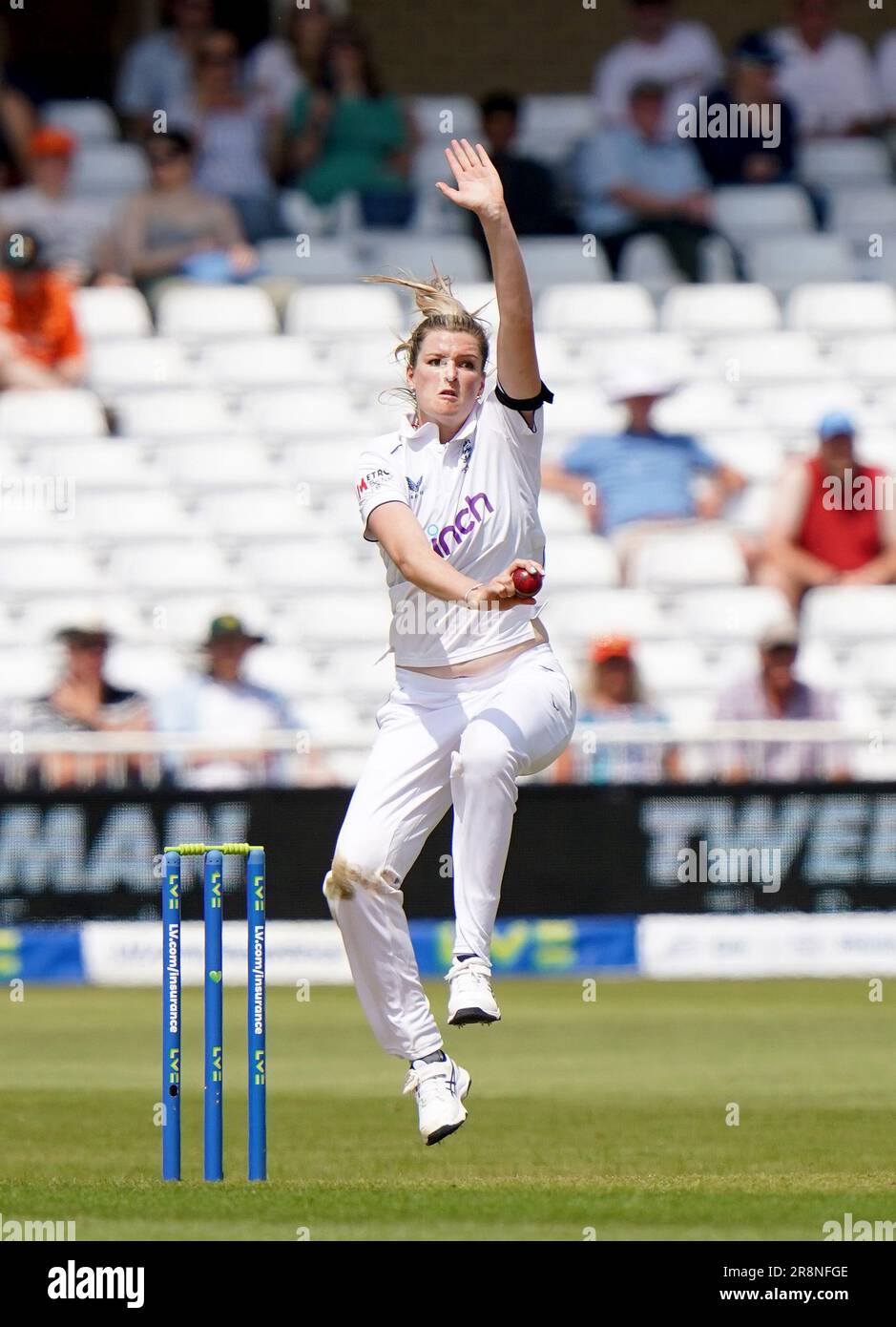 June bell hi-res stock photography and images - Alamy