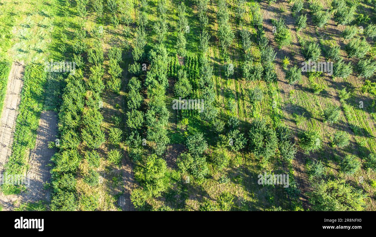 Soil included hi-res stock photography and images - Alamy