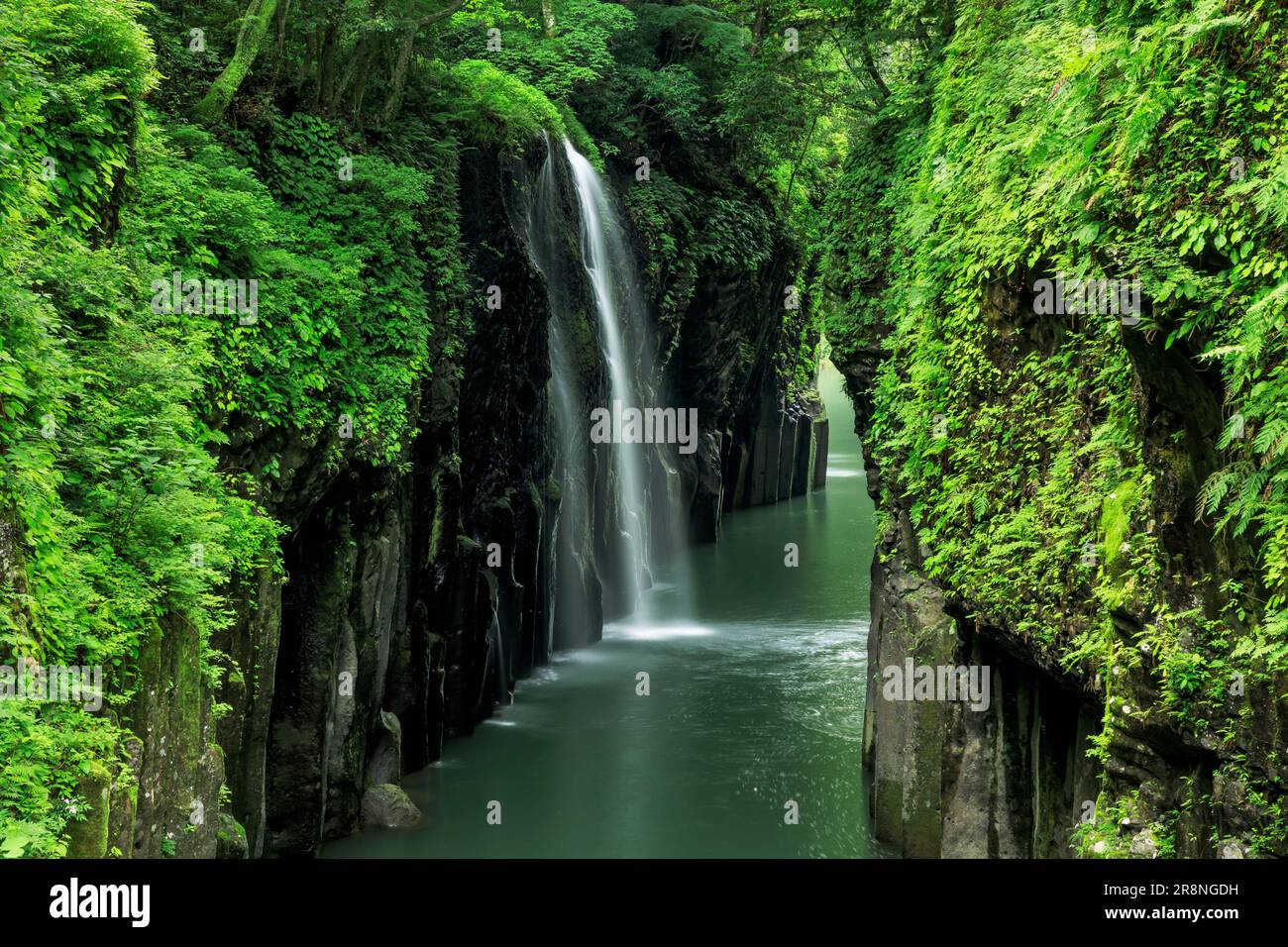 Manai hi-res stock photography and images - Alamy