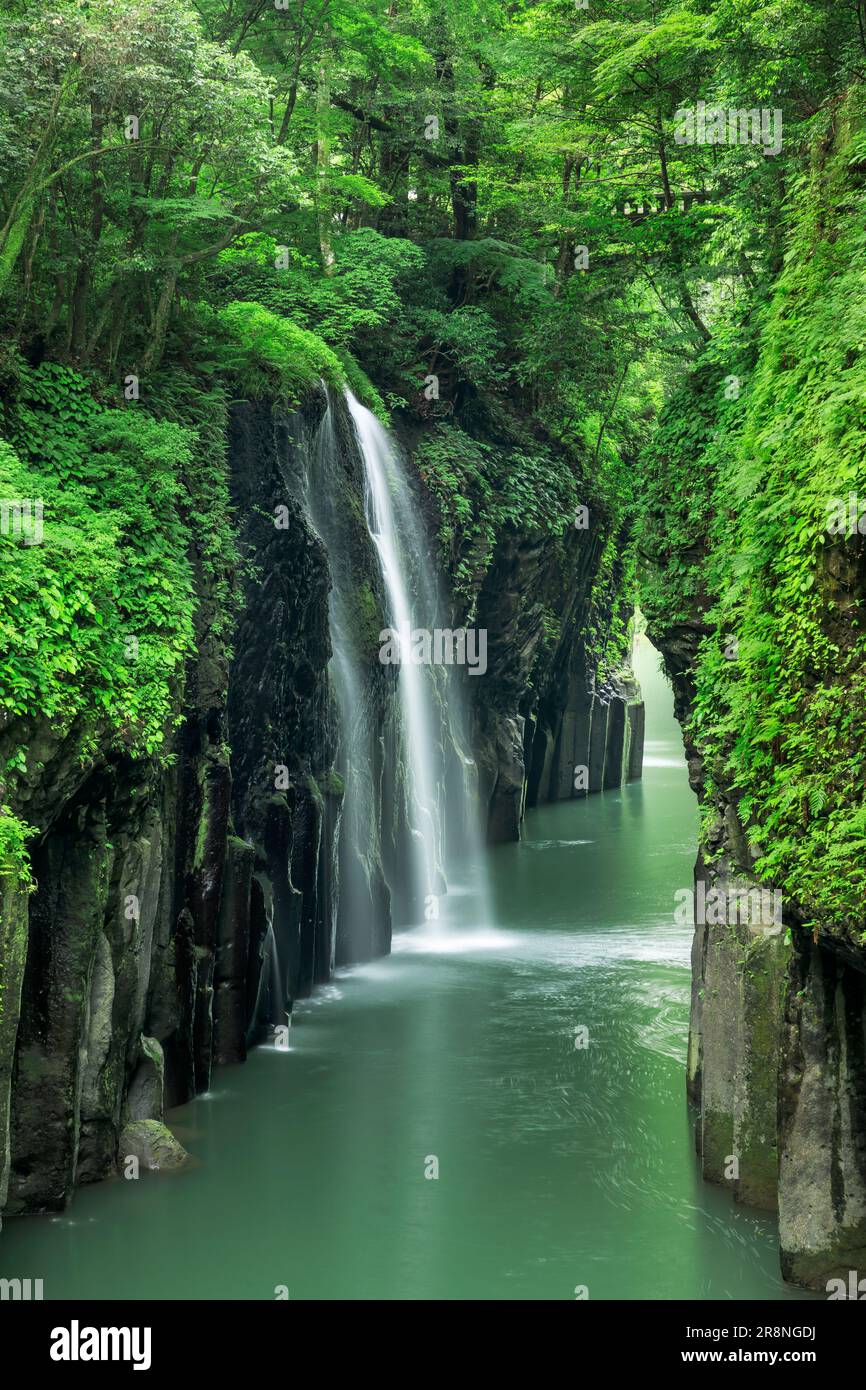 Manai hi-res stock photography and images - Alamy