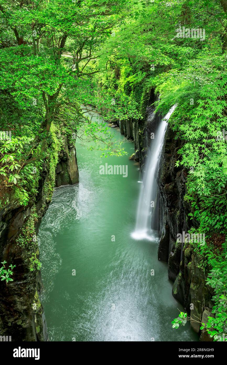 Manai hi-res stock photography and images - Alamy