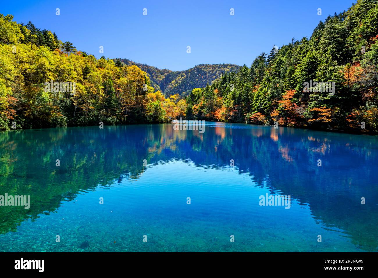 Onumaike hi-res stock photography and images - Alamy