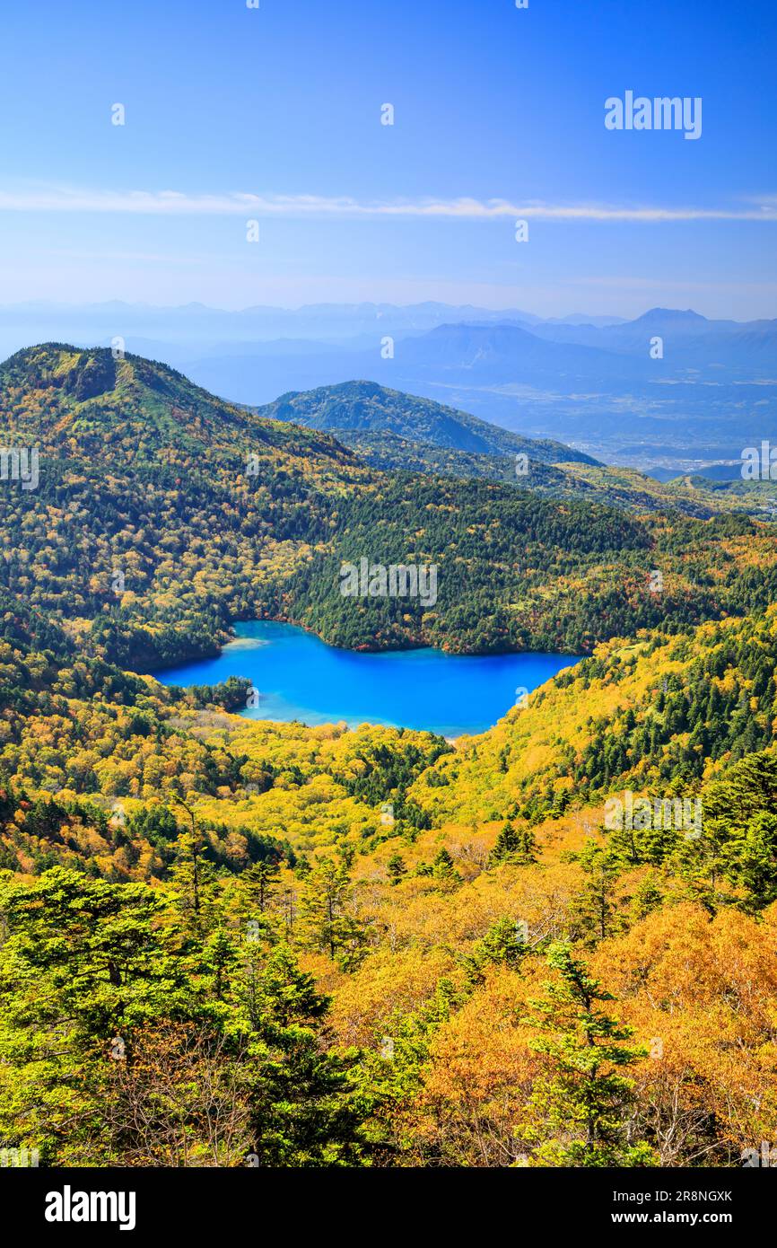 Onuma pond hi-res stock photography and images - Alamy