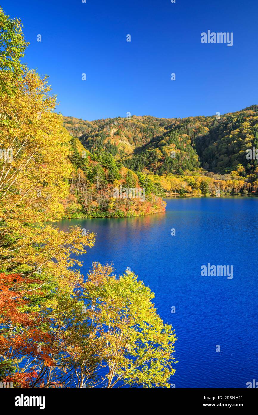 Onumaike hi-res stock photography and images - Alamy