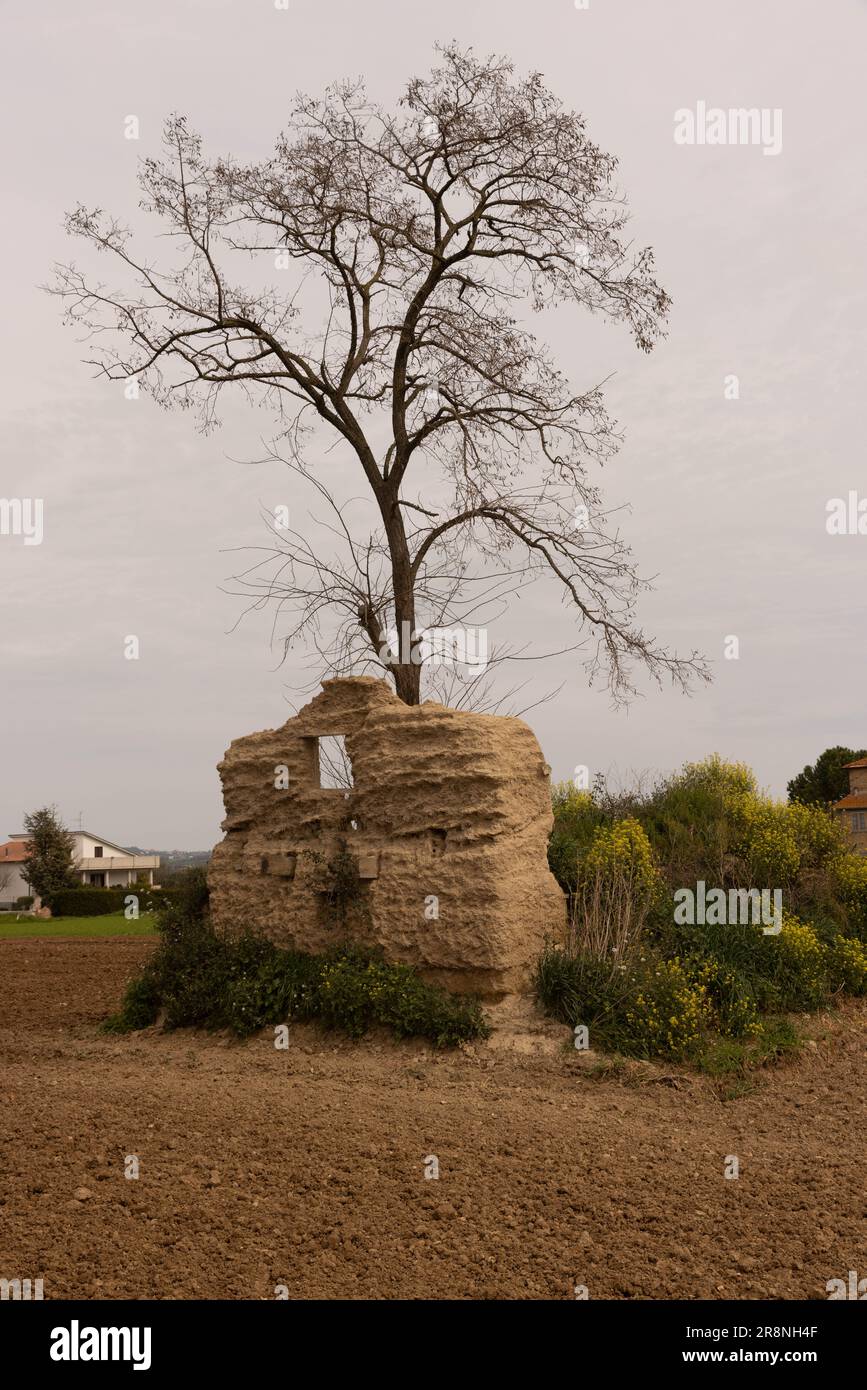 A house made up of mud, with a tree Stock Photo - Alamy