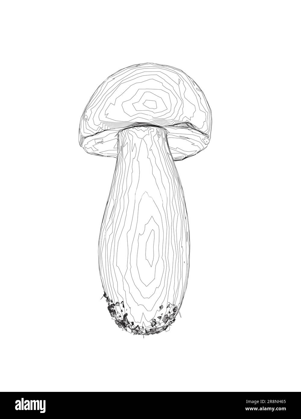 Outline champignon mushrooms Vector illustration drawn, toadstool, fly ...