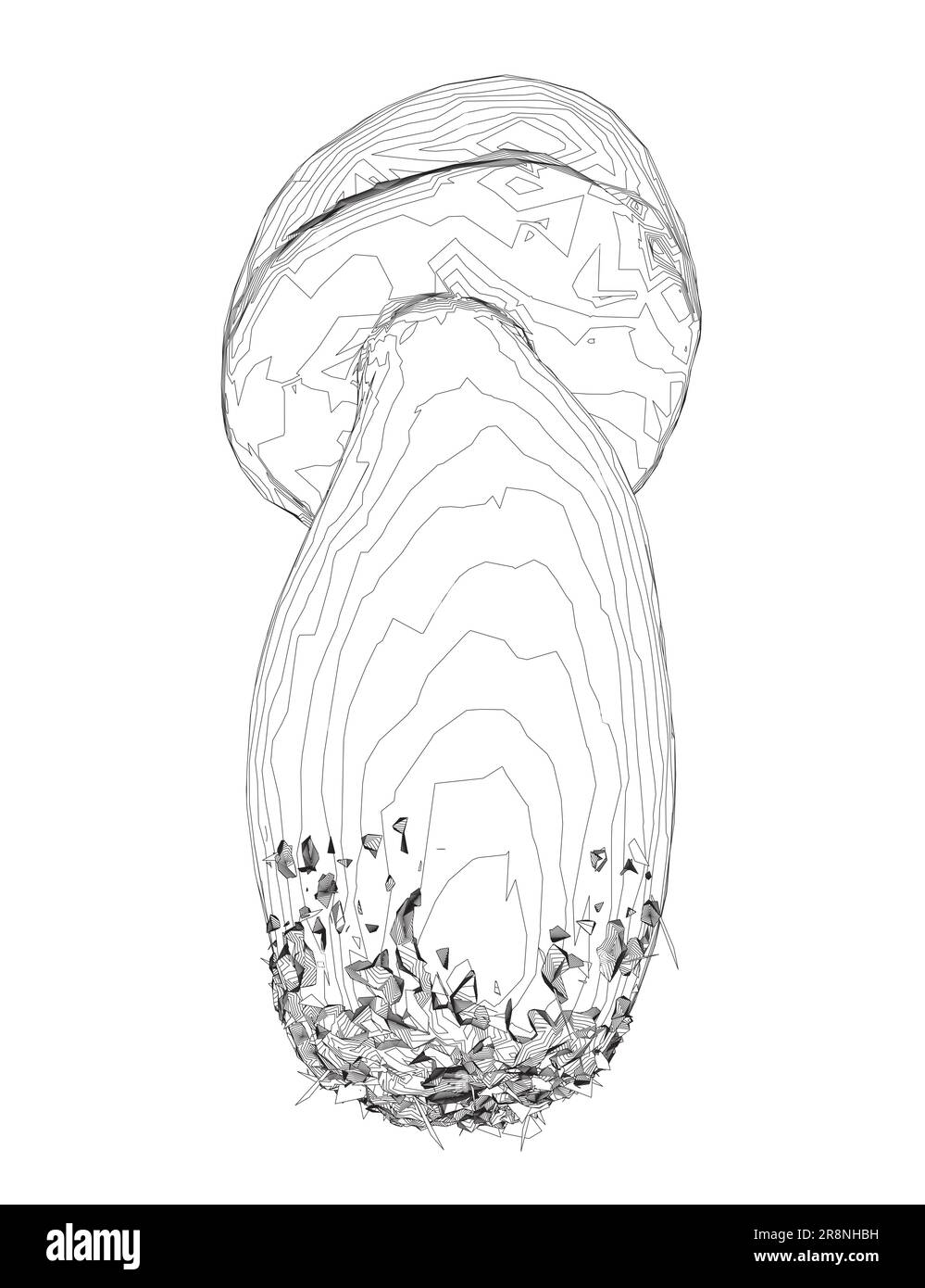 Outline champignon mushrooms Vector illustration drawn, toadstool, fly ...