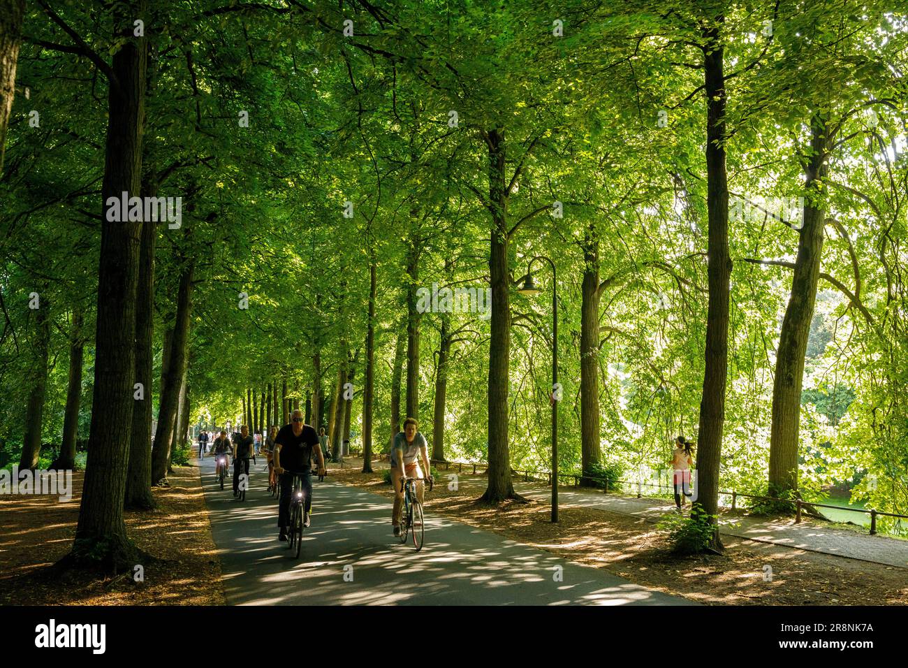 the Promenade, track for cyclists and pedestrians around the city ...