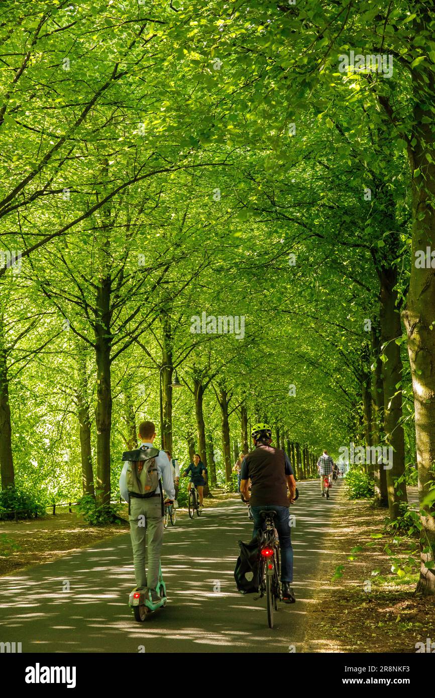 the Promenade, track for cyclists and pedestrians around the city ...