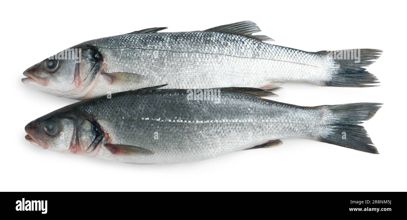Fresh sea bass fish on white background, top view Stock Photo - Alamy