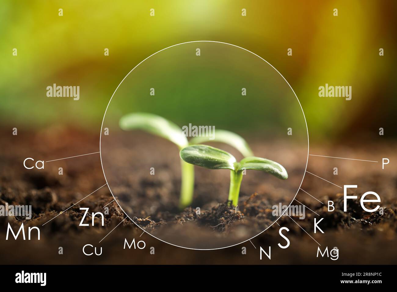Soil organic nitrogen test hi-res stock photography and images - Alamy