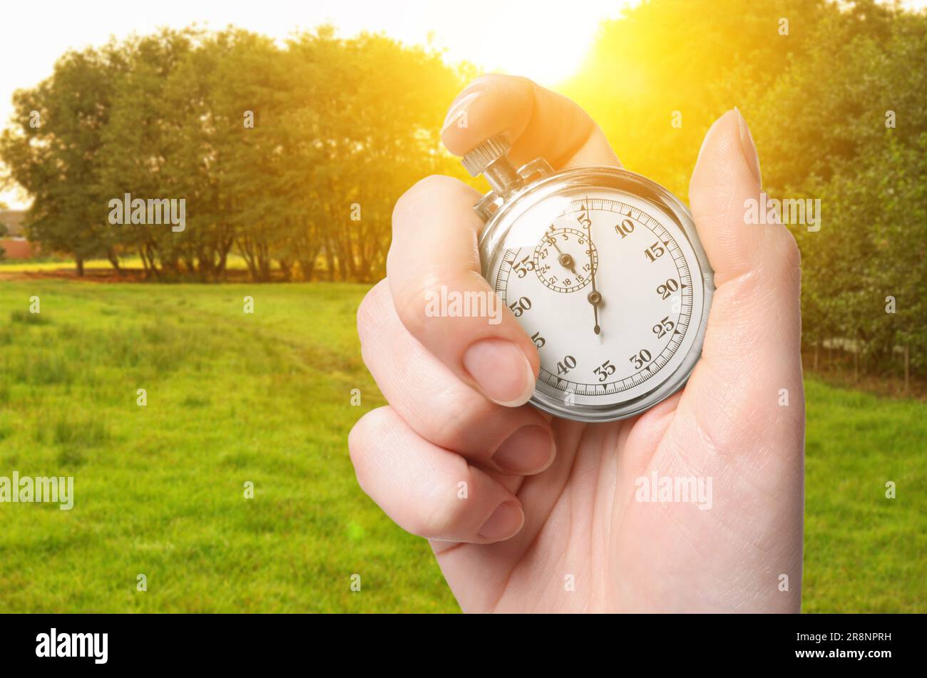 Woman holding timer on lawn with trees, closeup. Space for text Stock ...