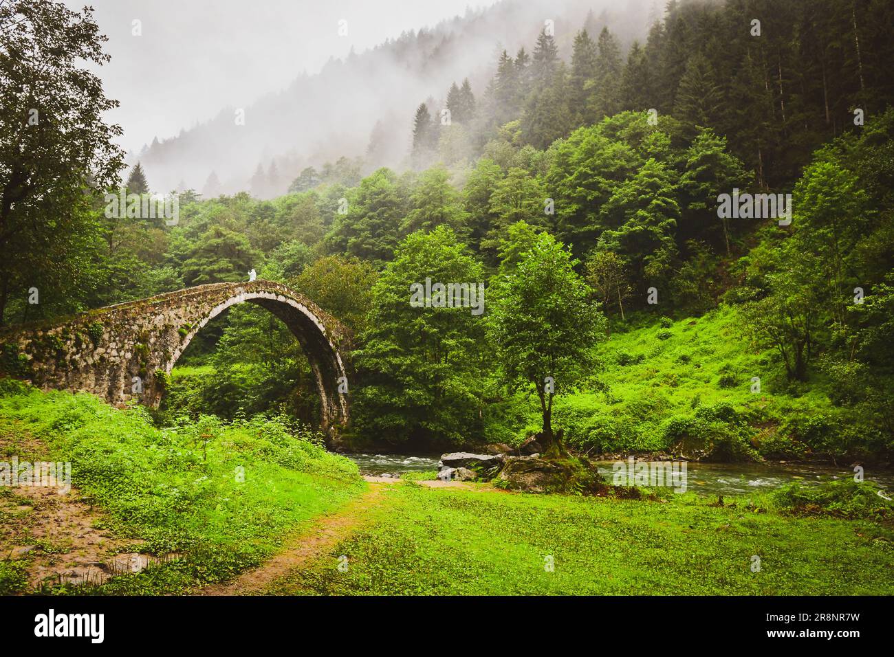 Female tourist walk on old ottoman empire bridge in Ayder , Turkey ...