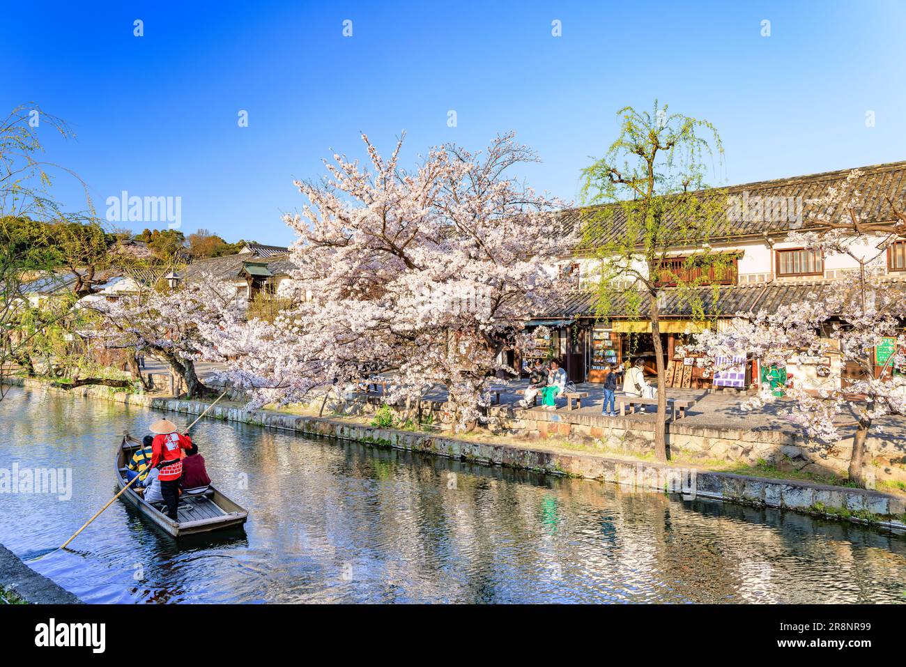 Cherry blossoms in Kurashiki Bikan Historical Area Stock Photo - Alamy