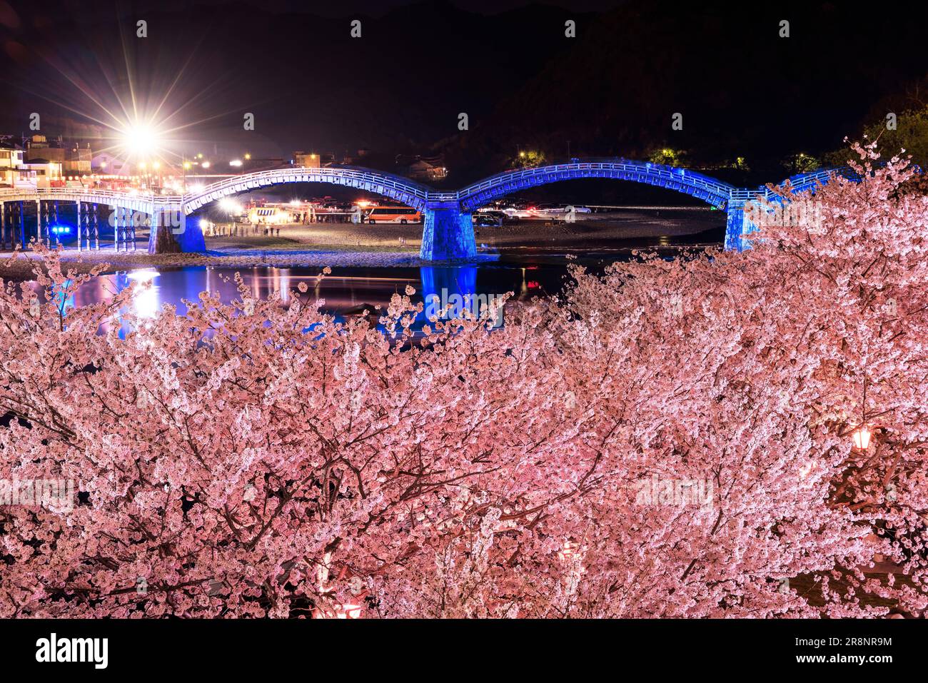 Kintai-bashi bridge and cherry blossoms Stock Photo - Alamy