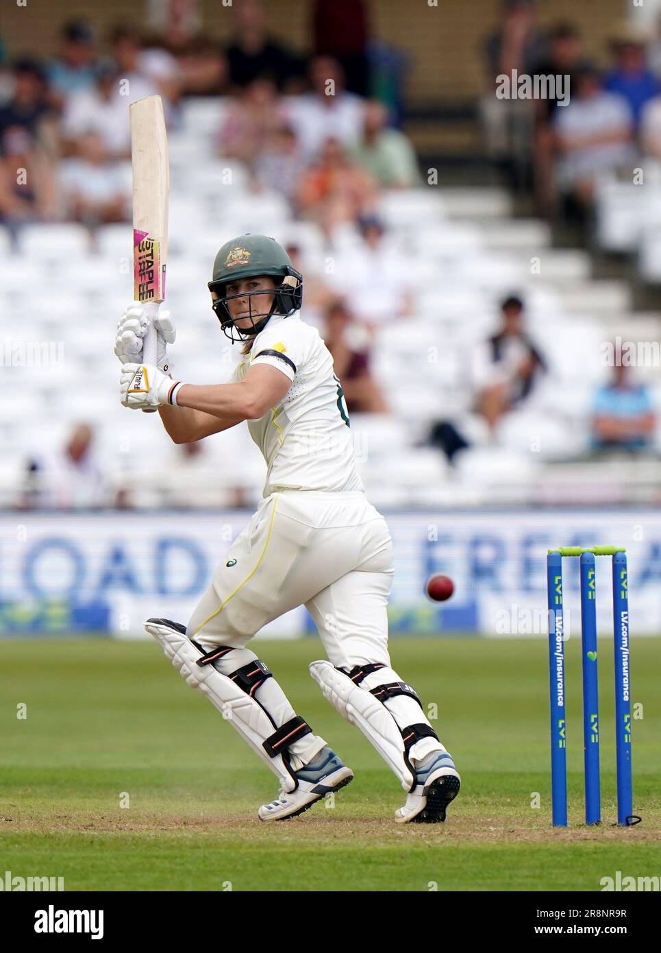 2023 ashes hi-res stock photography and images - Alamy