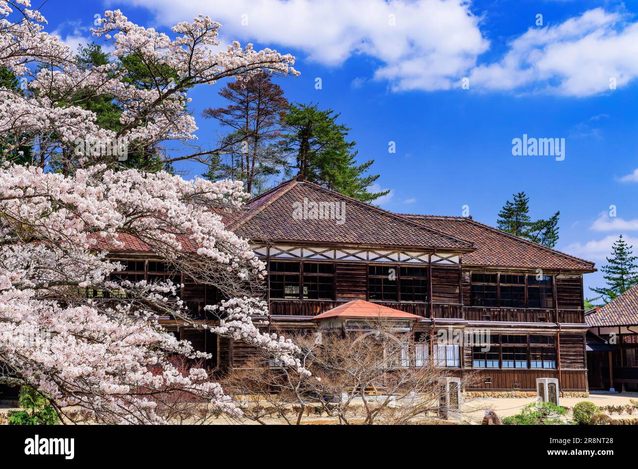 Former FUKIYA Elementary School and cherry blossoms Stock Photo - Alamy