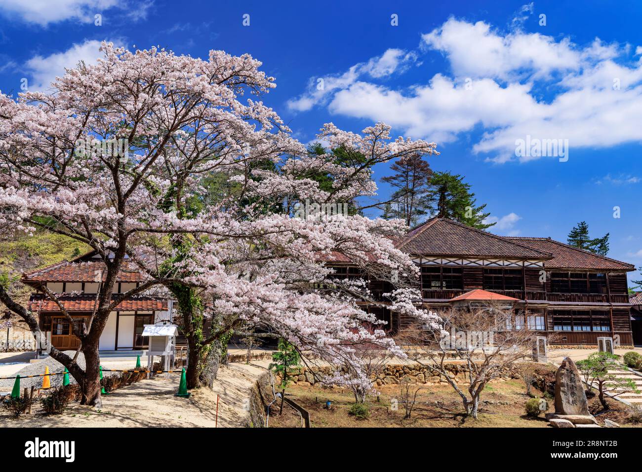 Former FUKIYA Elementary School and cherry blossoms Stock Photo - Alamy