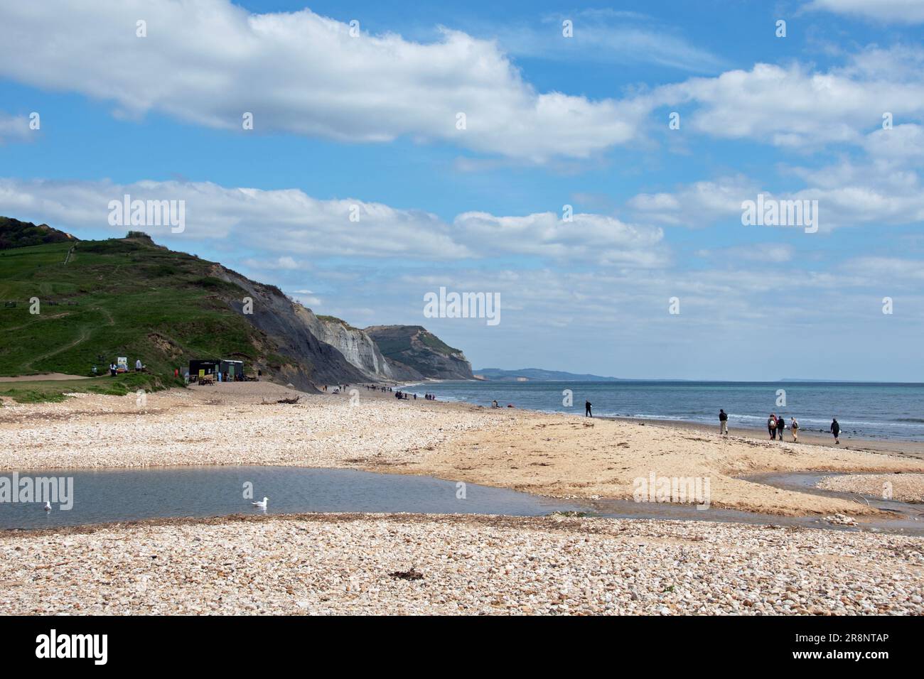 Fossil hunters & tourists, Charmouth beach Stock Photo - Alamy