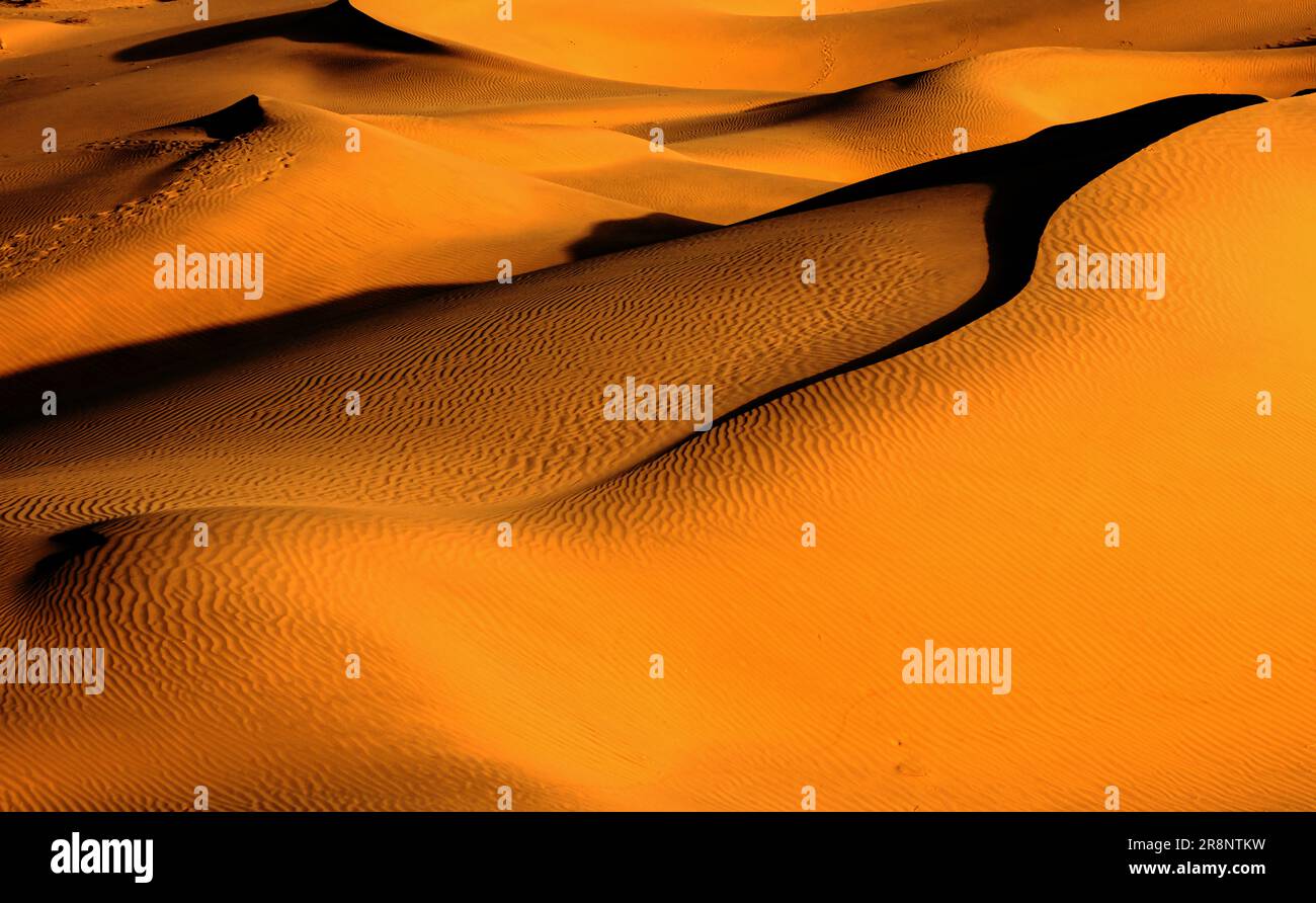 A breathtaking desert landscape illuminated during the golden hour ...