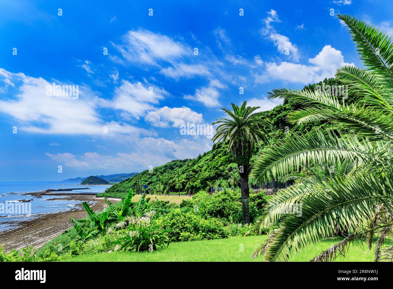Palm pass hi-res stock photography and images - Alamy