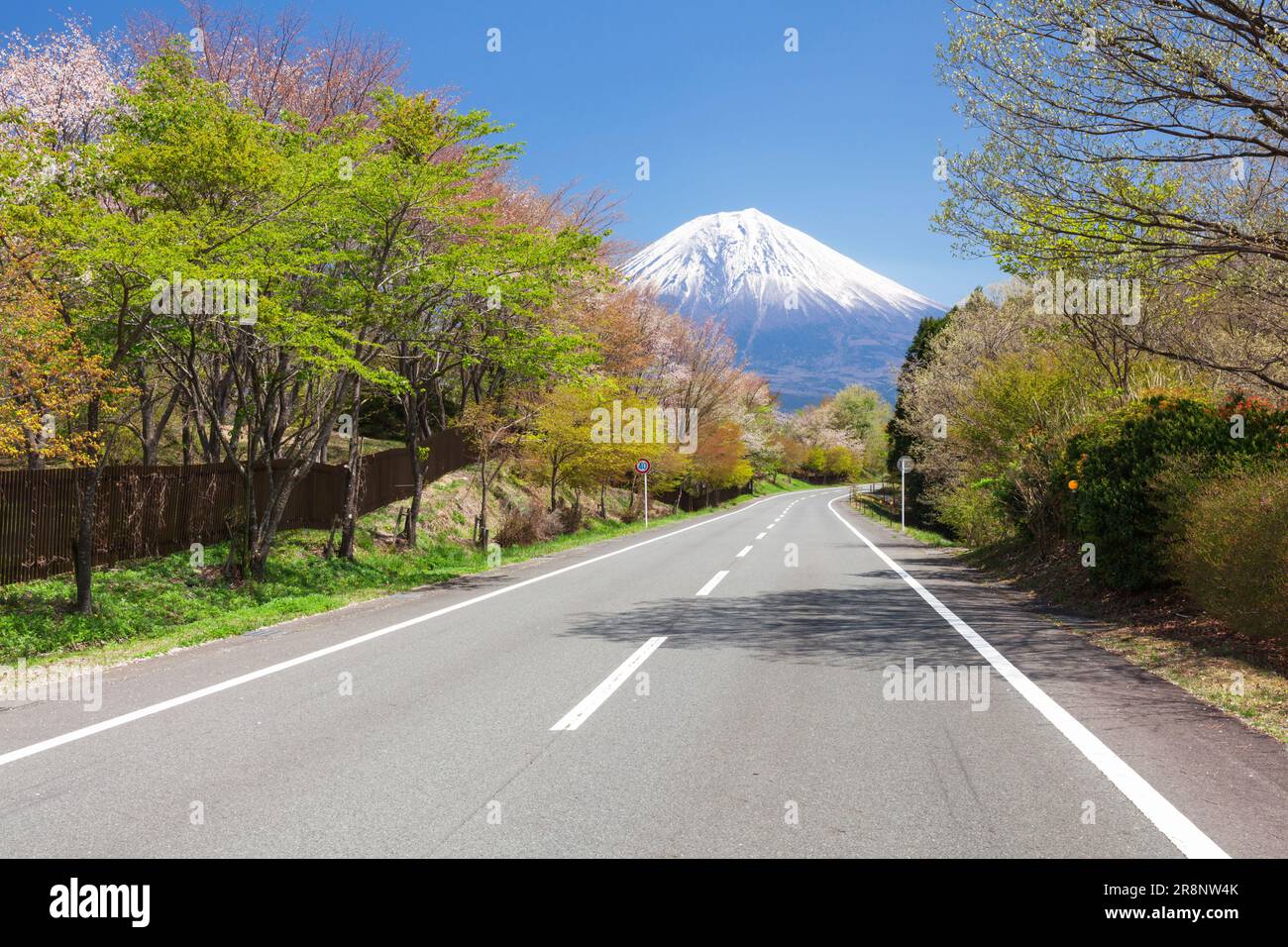 Mt. Fuji and road Stock Photo - Alamy