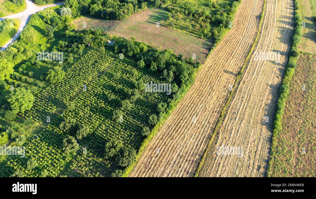 Aerial view agricultural field. Rows of soil before planting ...