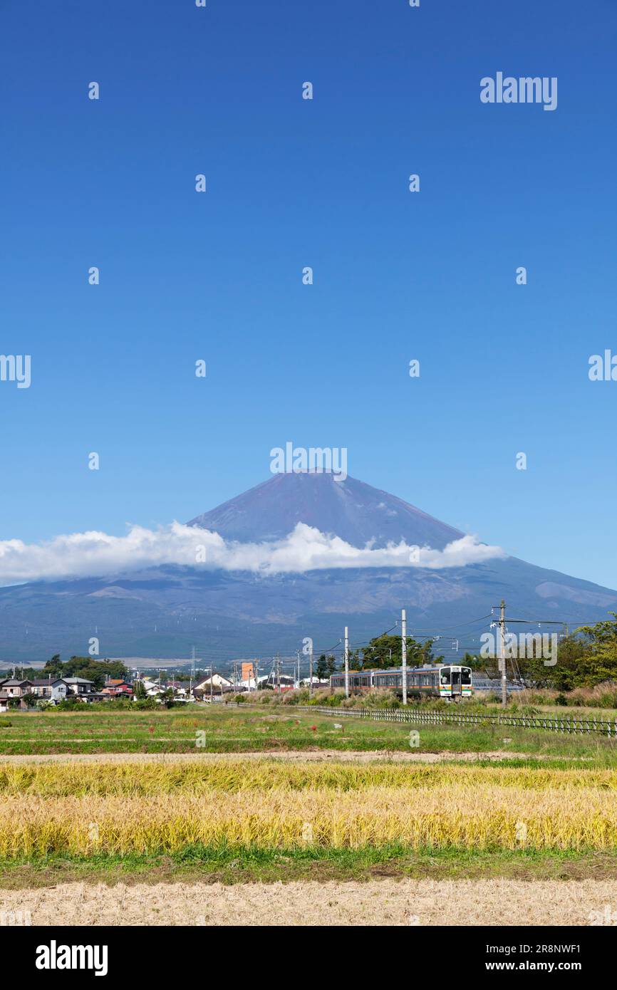 Mt.Fuji and Gotemba Line Stock Photo - Alamy