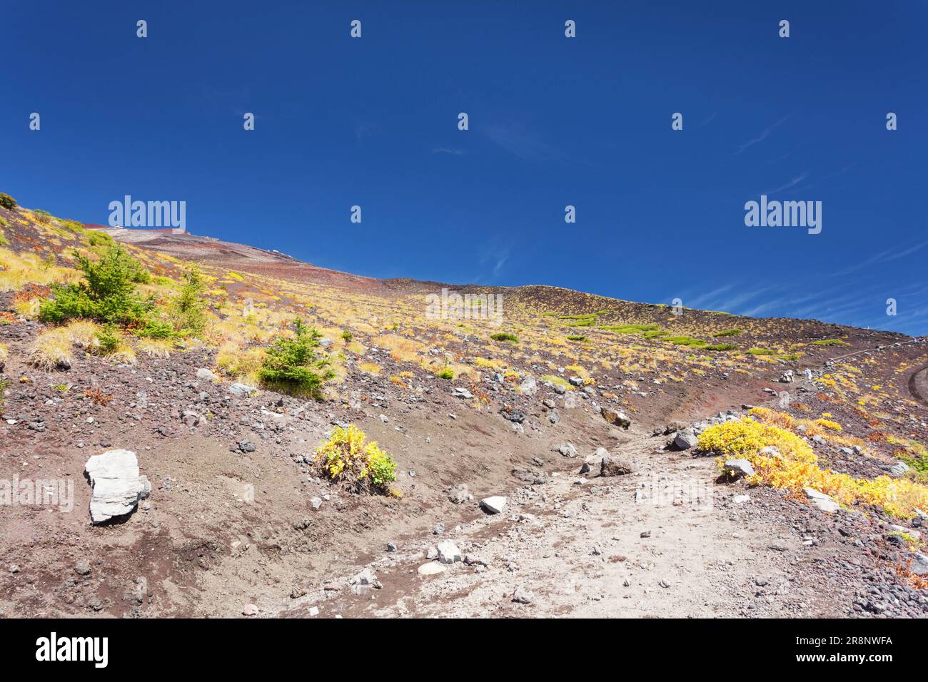 Between one fifth and one sixth of the way to the summit of Mount Fuji ...