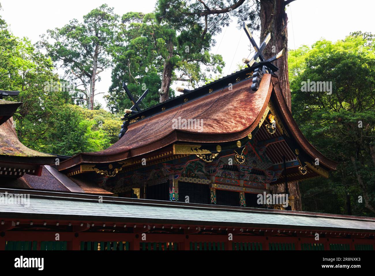 Main shrine of Kashima Jingu Stock Photo - Alamy