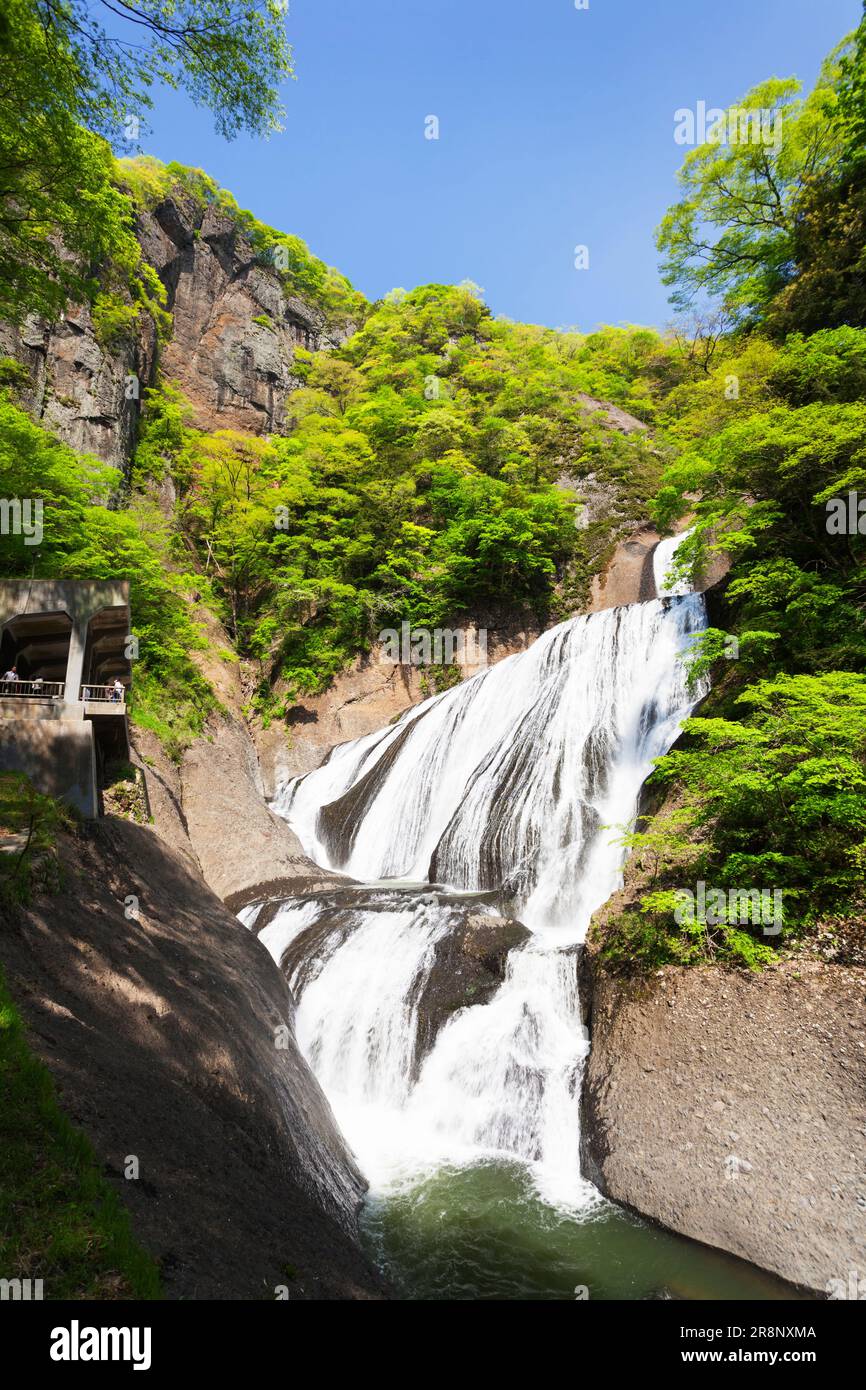 Fukuroda Falls in fresh green Stock Photo - Alamy