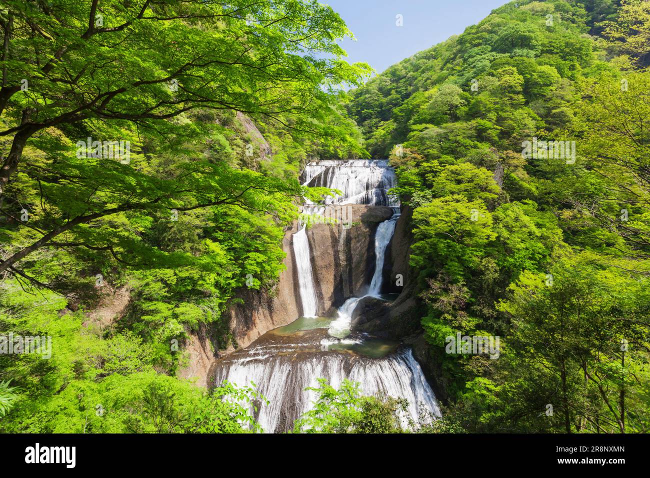 Fukuroda Falls in fresh green Stock Photo - Alamy