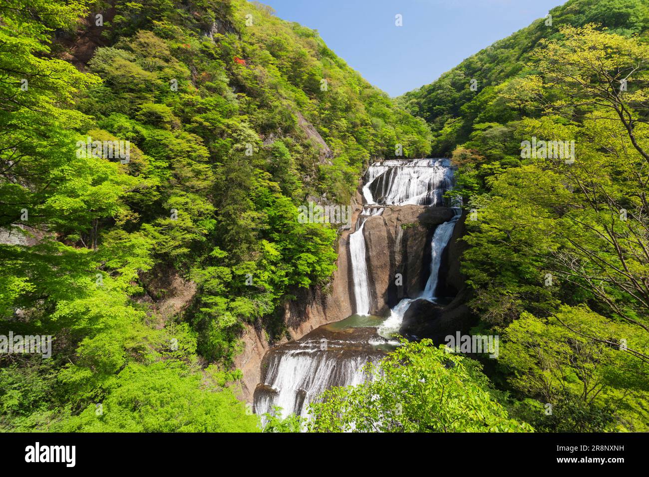 Fukuroda Falls in fresh green Stock Photo - Alamy