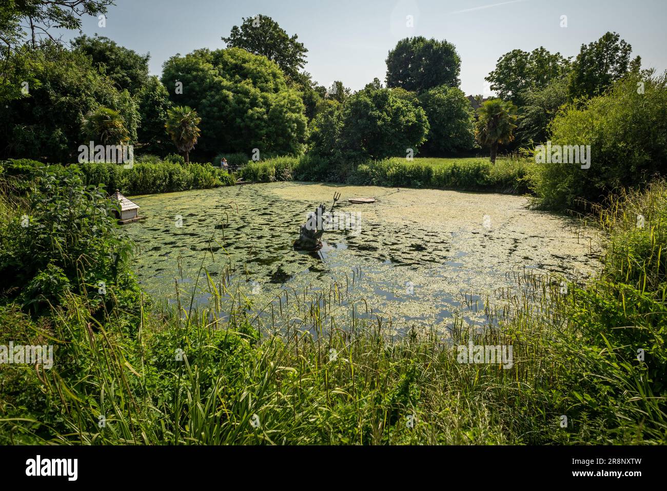Eastbourne, June 16th 2023: Motcombe Gardens pond Stock Photo - Alamy