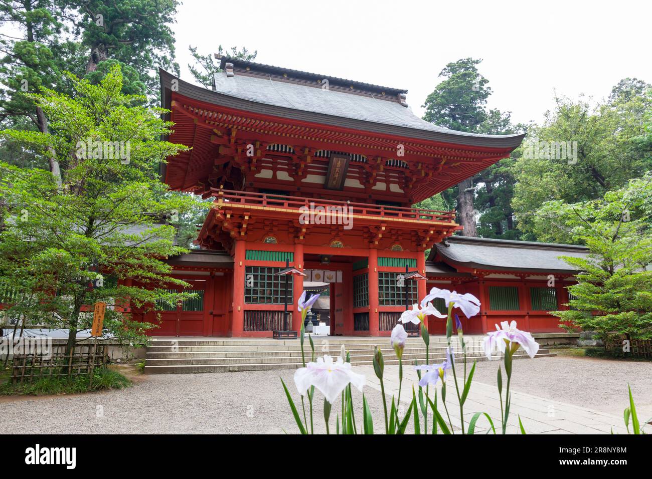 Katori Jingu Tower Gate and Hanashobu (Japanese Rhododendron ...