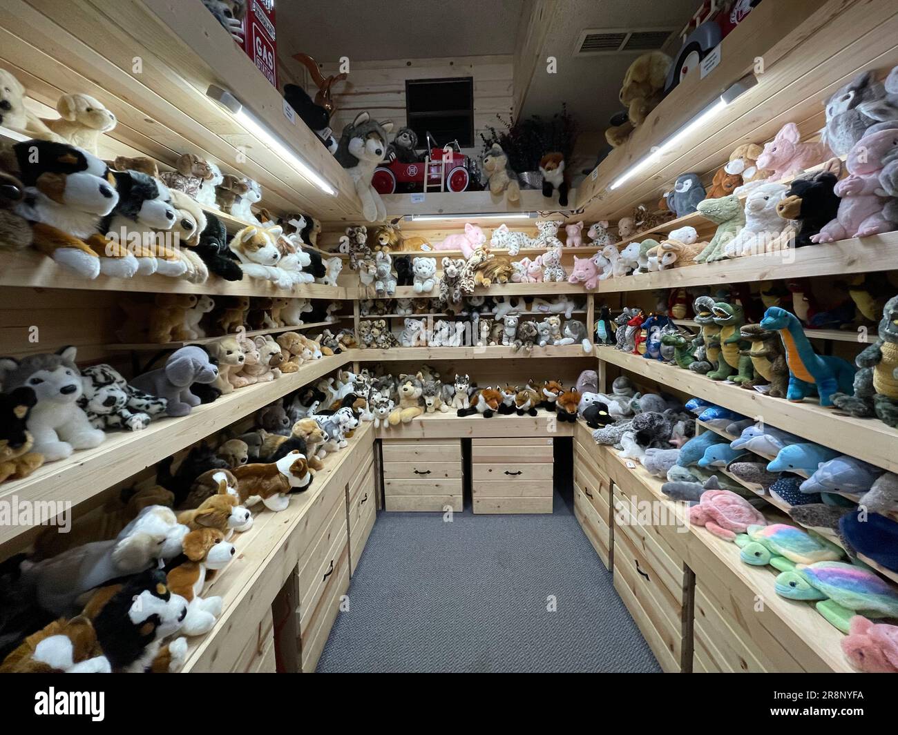 Animal stuff bear shop in Estes Park, Colorado Stock Photo - Alamy