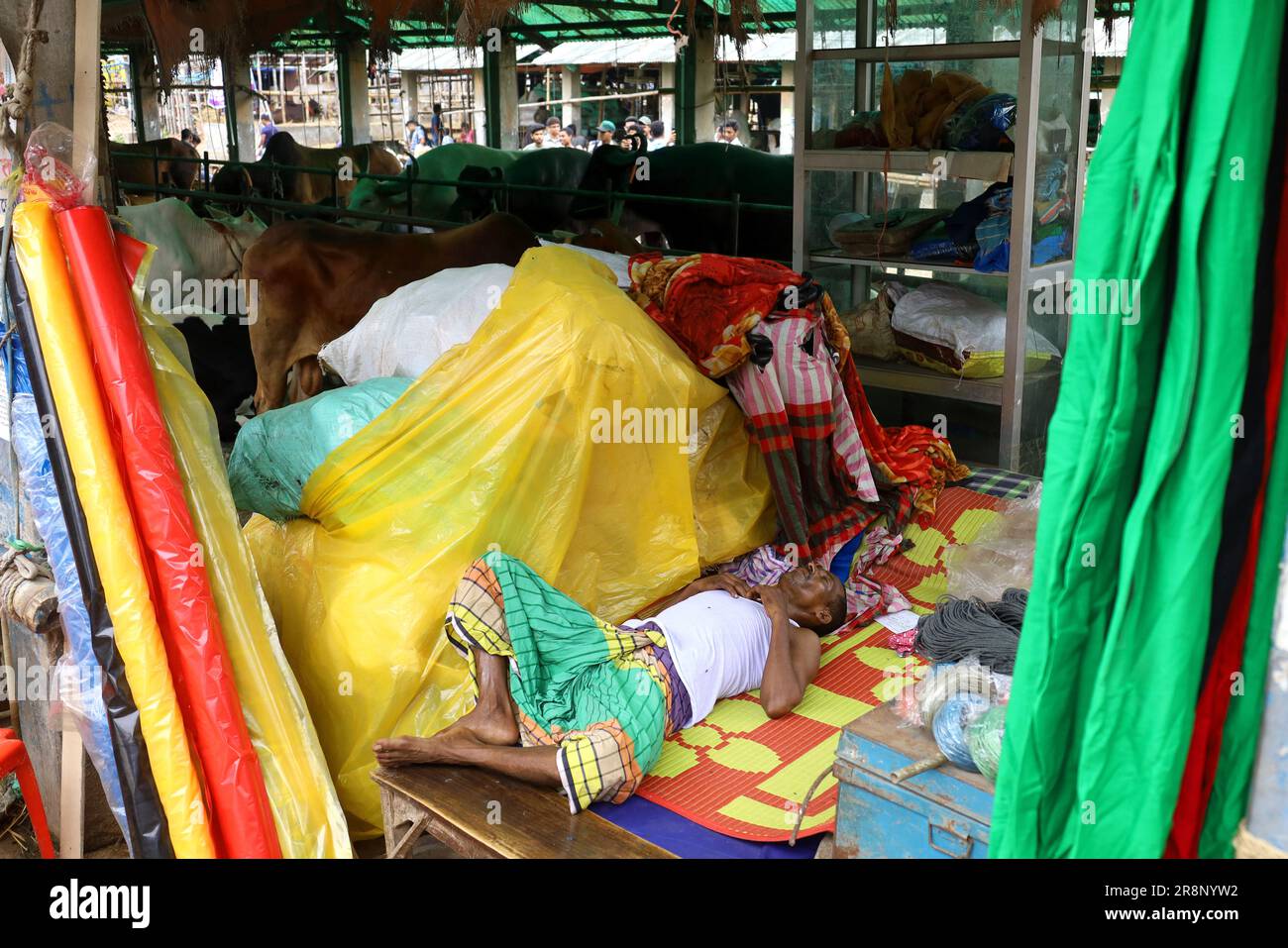 Dhaka, Dhaka, Bangladesh. 22nd June, 2023. Every year on the occasion of the holy Eid-ul-Adha, a ...