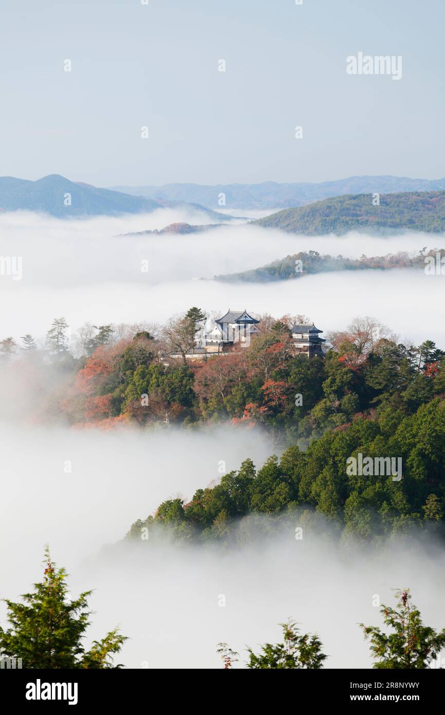 Bicchu Matsuyama Castle called the Castle in the Sky Stock Photo - Alamy