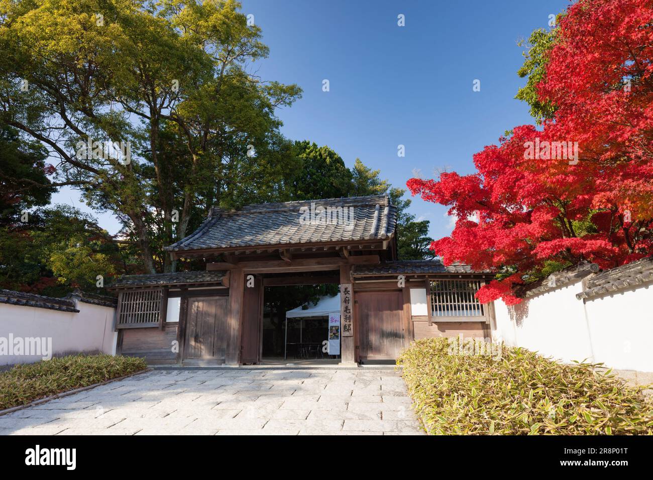 Autumn Leaves of Chofu Mori's Residence Stock Photo - Alamy