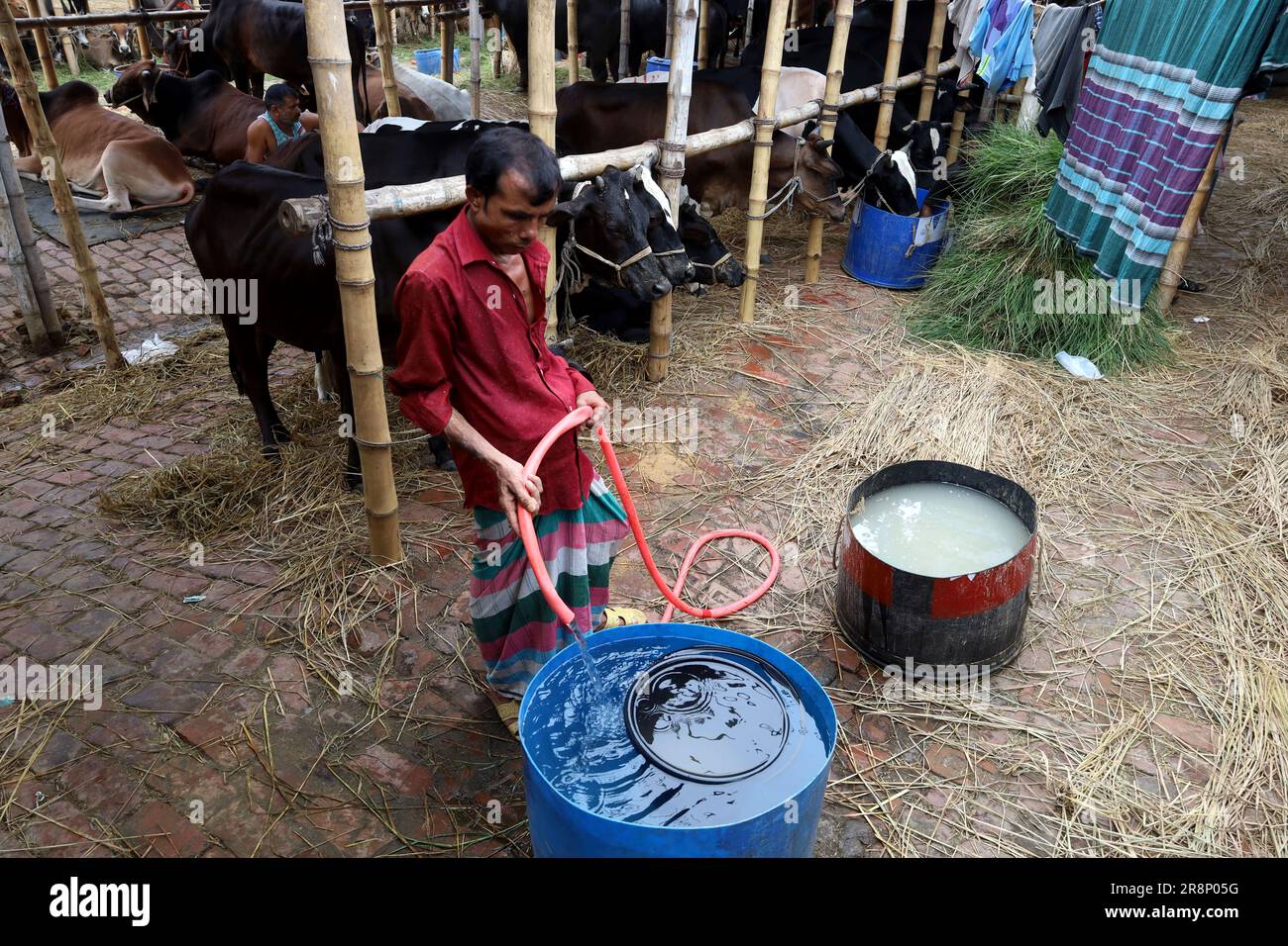 Dhaka, Dhaka, Bangladesh. 22nd June, 2023. Every year on the occasion of the holy Eid-ul-Adha, a ...