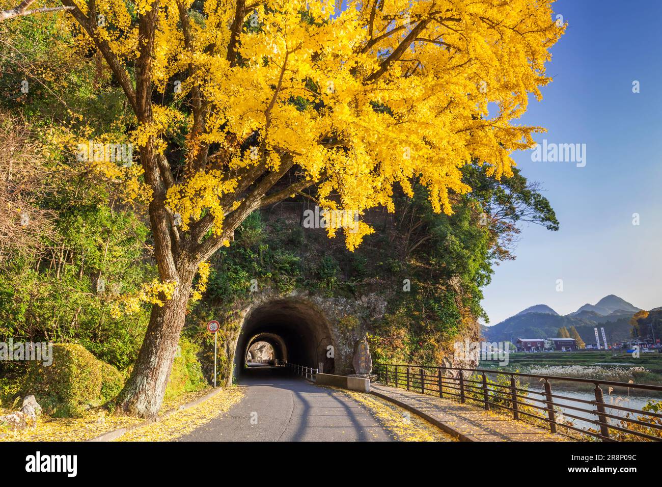 Cave gate hi-res stock photography and images - Alamy