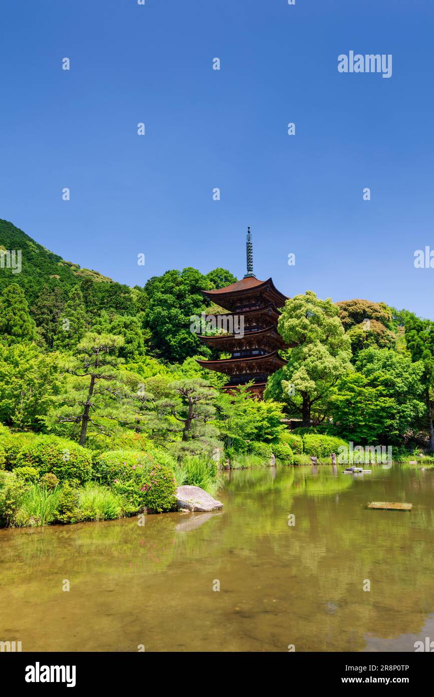 Pagoda of rurikoji temple hi-res stock photography and images - Alamy