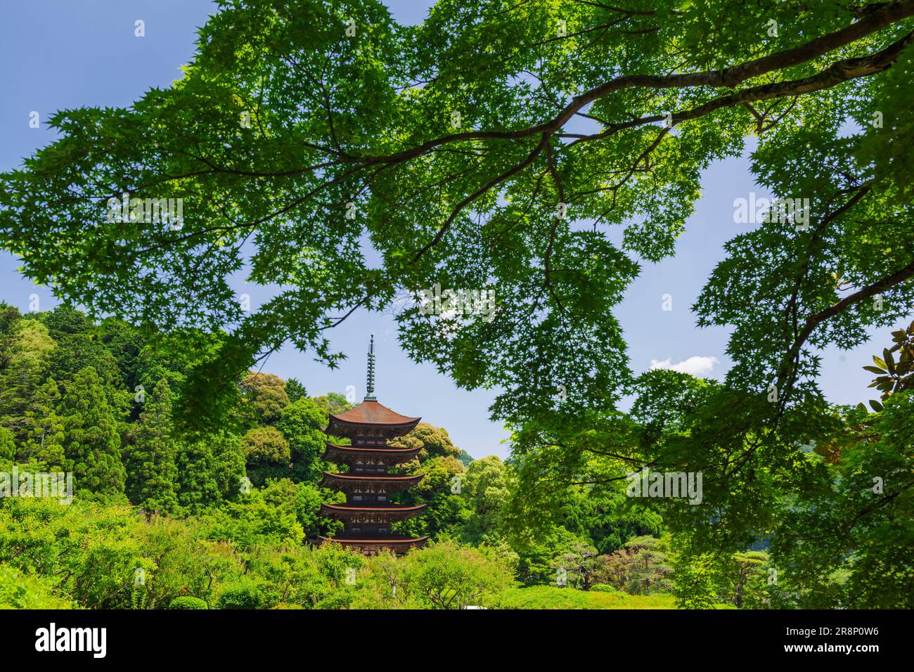 Kouzan kouen park hi-res stock photography and images - Alamy