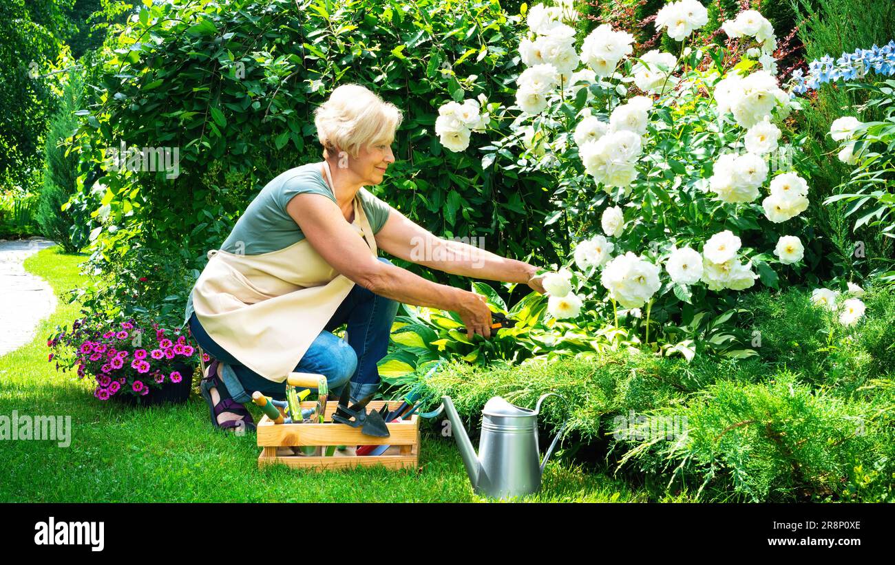 Elderly woman kneeling hi-res stock photography and images - Alamy