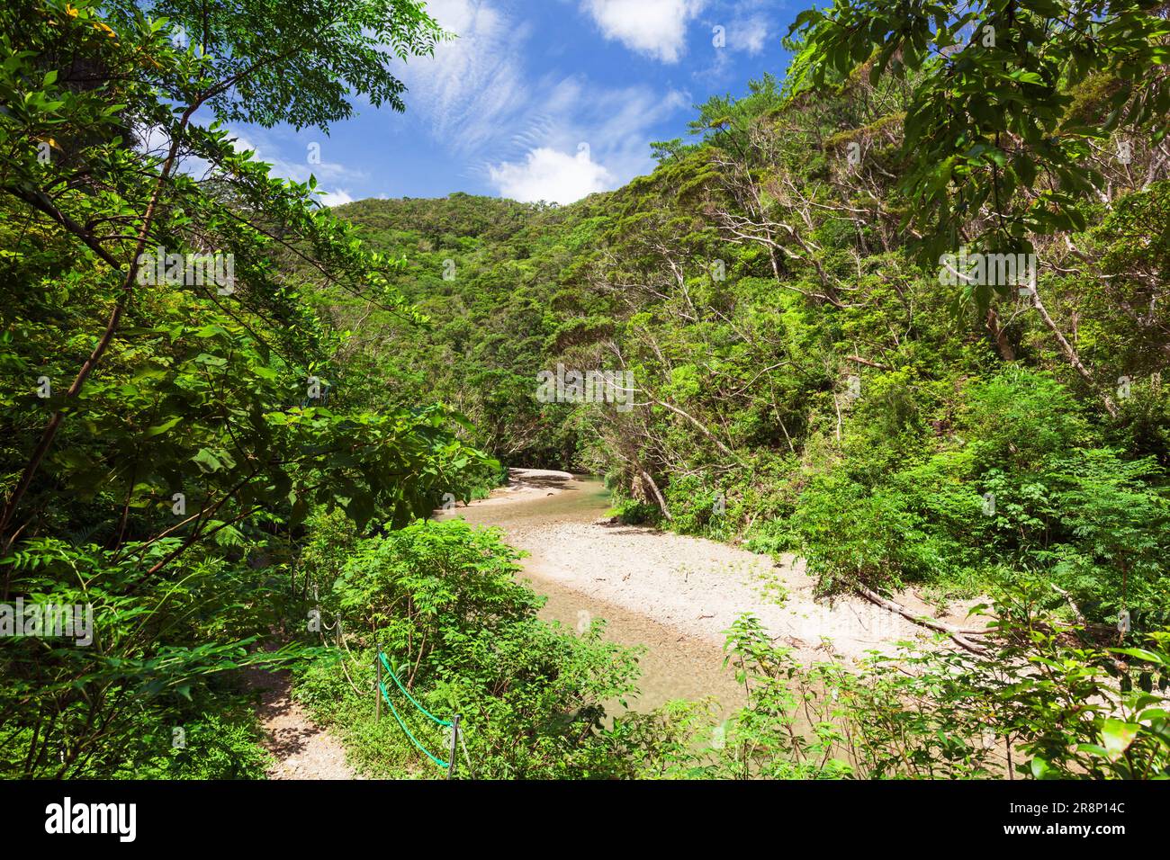 Yanbaru no mori hi-res stock photography and images - Alamy